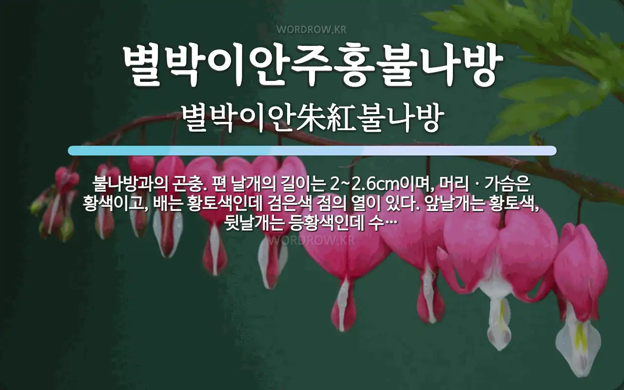 별박이안주홍불나방 뜻 불나방과의 곤충 편 날개의 길이는 2~26cm이며 머리ㆍ가슴은 황색이고 배는 황토색