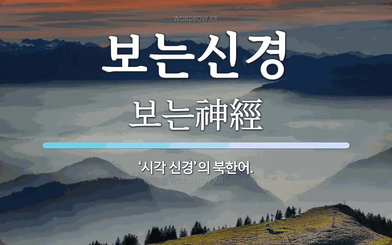 보는신경 뜻 ‘시각 신경의 북한어