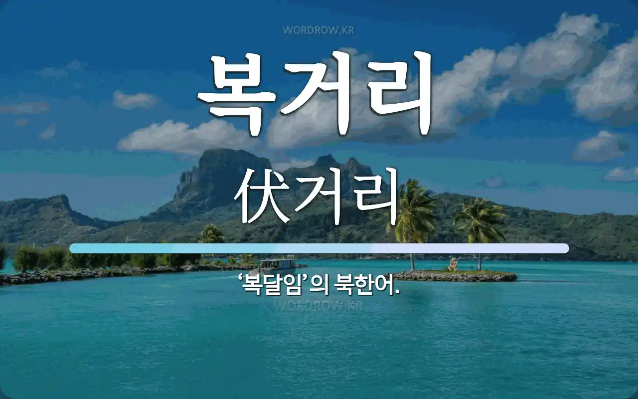 복거리 뜻 ‘복달임의 북한어