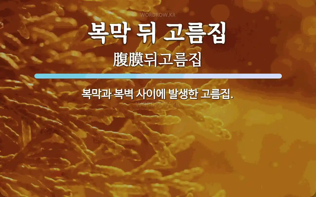 복막 뒤 고름집 뜻 복막과 복벽 사이에 발생한 고름집