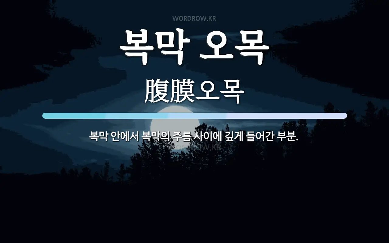 복막 오목 뜻 복막 안에서 복막의 주름 사이에 깊게 들어간 부분