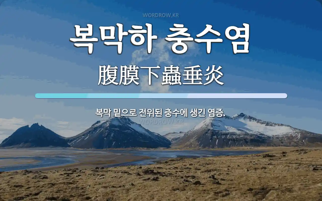 복막하 충수염 뜻 복막 밑으로 전위된 충수에 생긴 염증