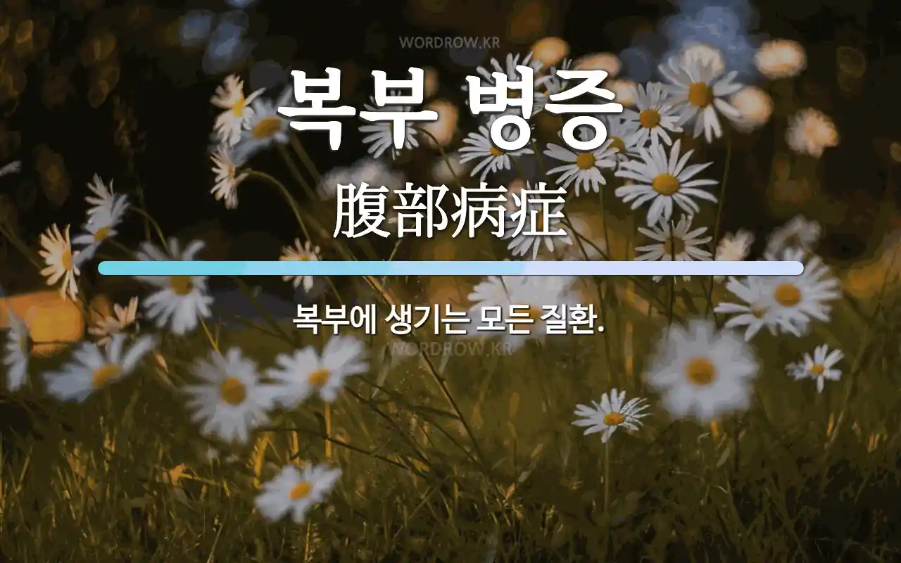 복부 병증 뜻 복부에 생기는 모든 질환