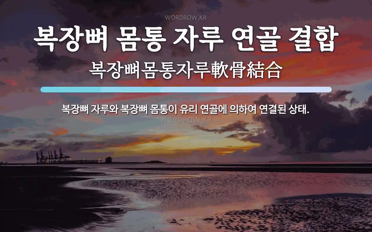 복장뼈 몸통 자루 연골 결합 뜻 복장뼈 자루와 복장뼈 몸통이 유리 연골에 의하여 연결된 상태