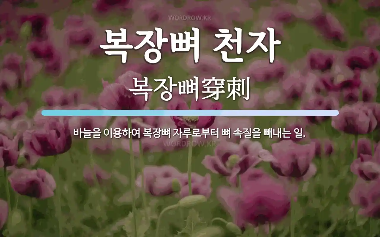 복장뼈 천자 뜻 바늘을 이용하여 복장뼈 자루로부터 뼈 속질을 빼내는 일
