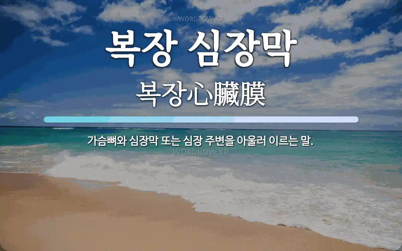 복장 심장막 뜻 가슴뼈와 심장막 또는 심장 주변을 아울러 이르는 말