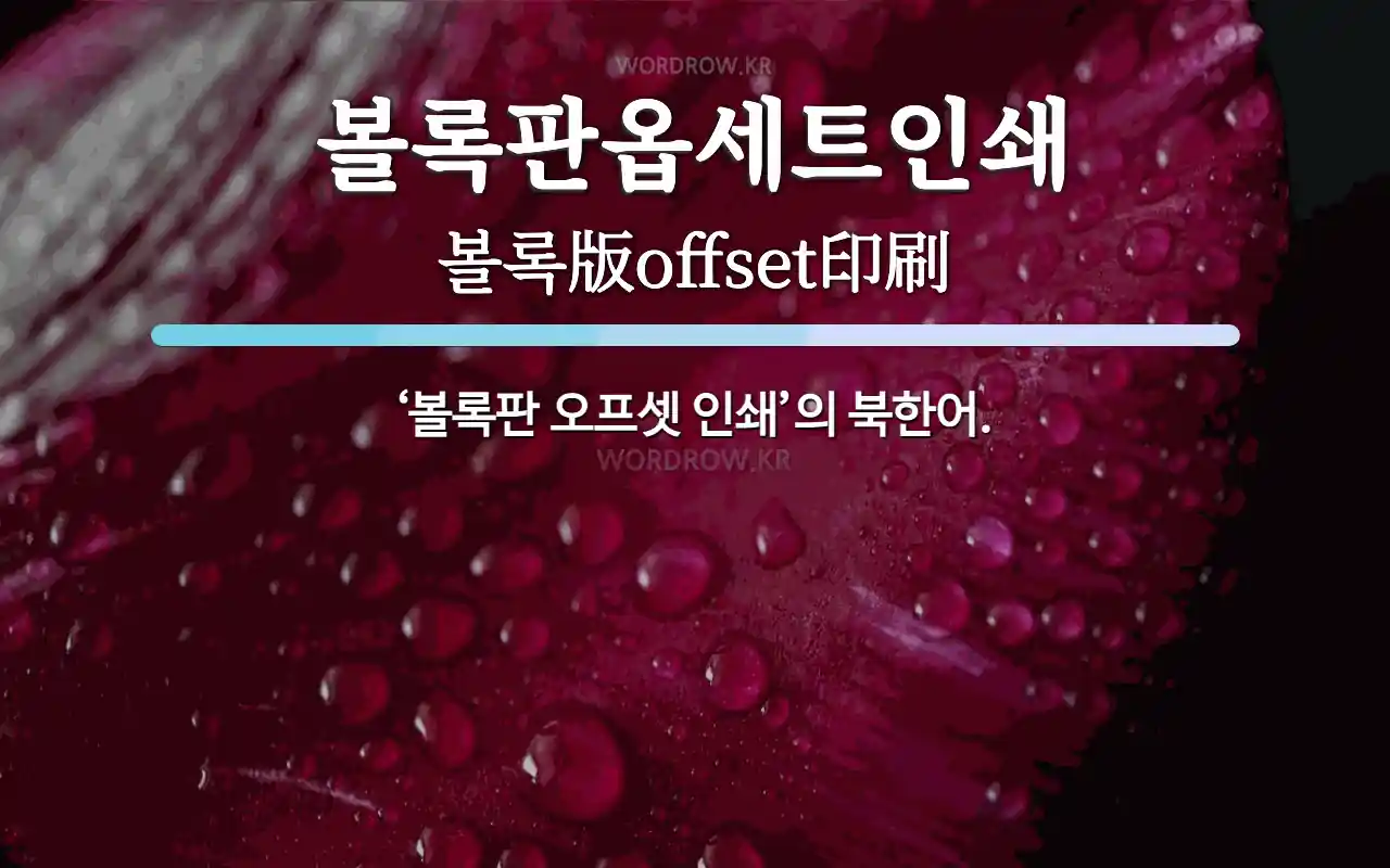 볼록판옵세트인쇄 뜻 ‘볼록판 오프셋 인쇄의 북한어