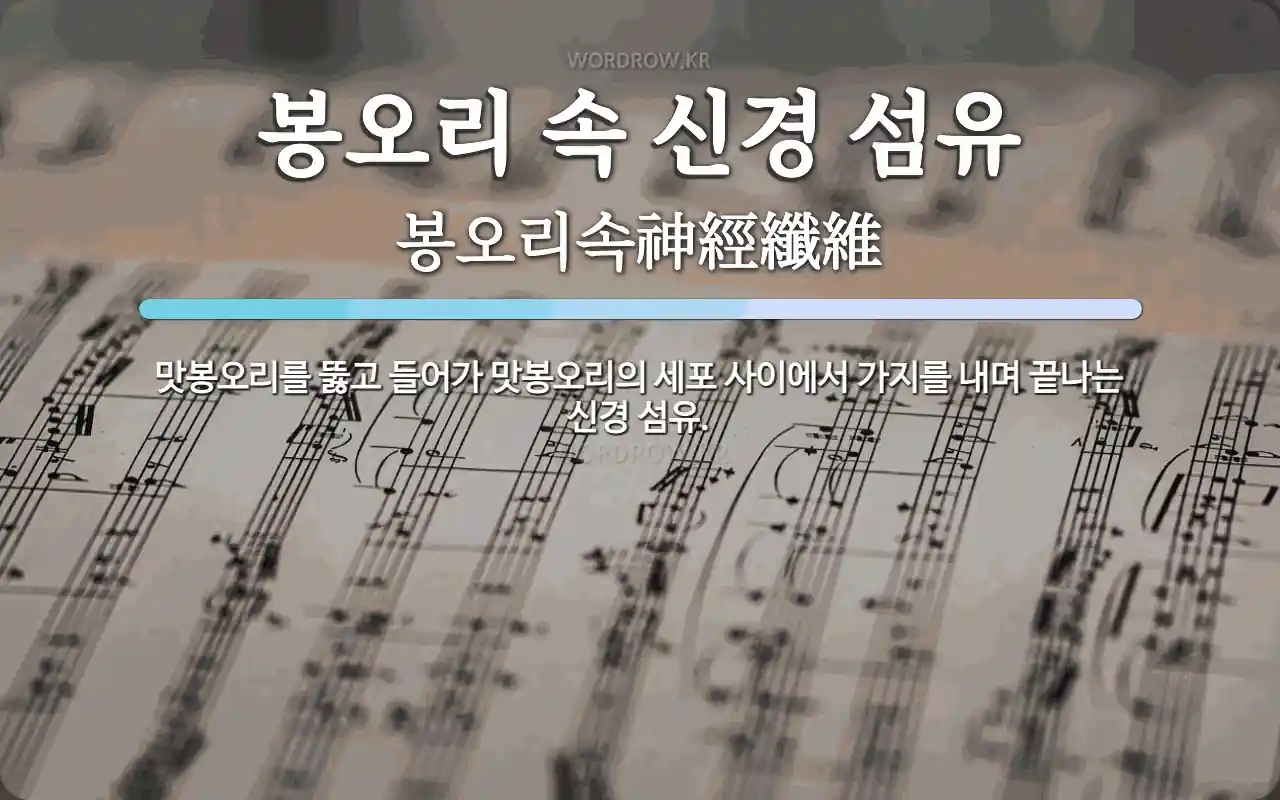 봉오리 속 신경 섬유 뜻 맛봉오리를 뚫고 들어가 맛봉오리의 세포 사이에서 가지를 내며 끝나는 신경 섬유