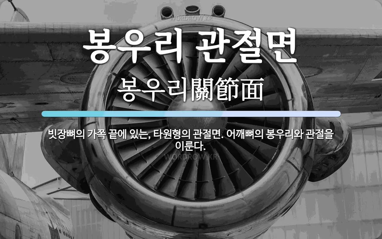 봉우리 관절면 뜻 빗장뼈의 가쪽 끝에 있는 타원형의 관절면 어깨뼈의 봉우리와 관절을 이룬다