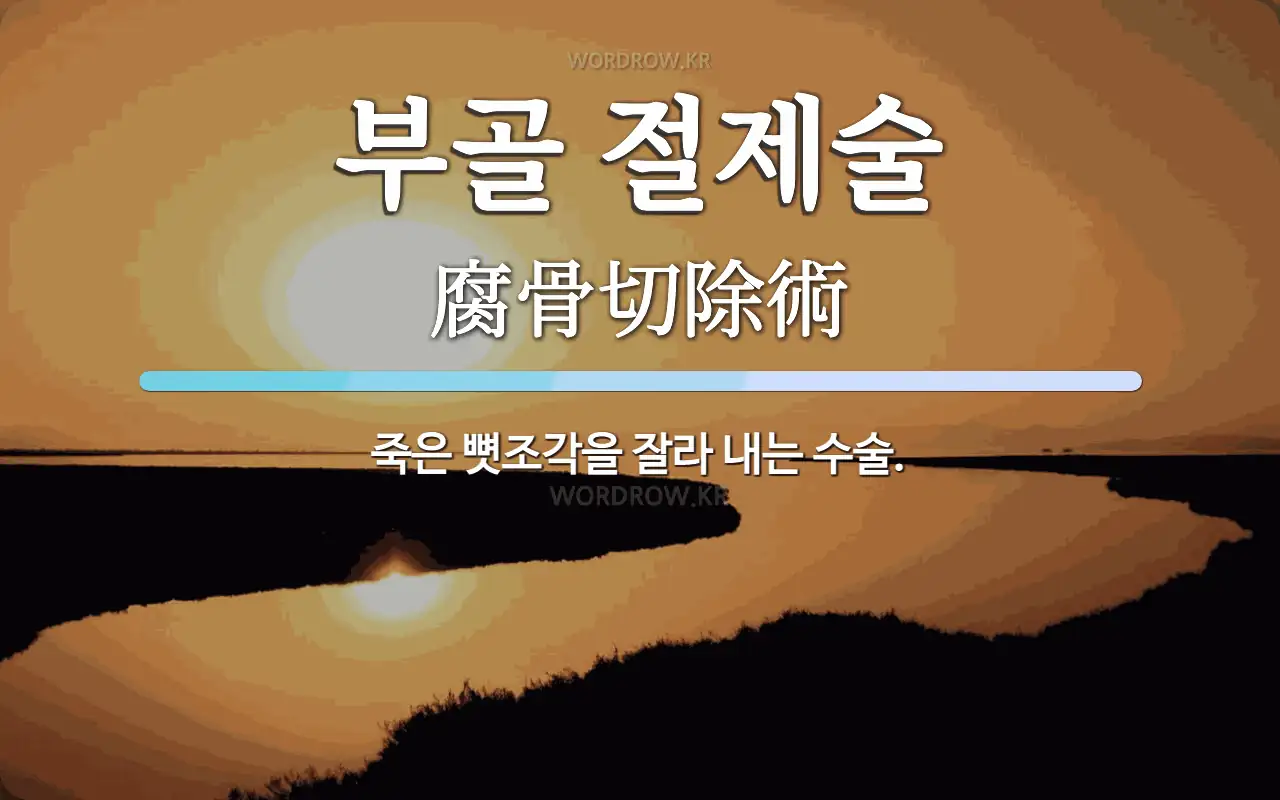 부골 절제술 뜻 죽은 뼛조각을 잘라 내는 수술