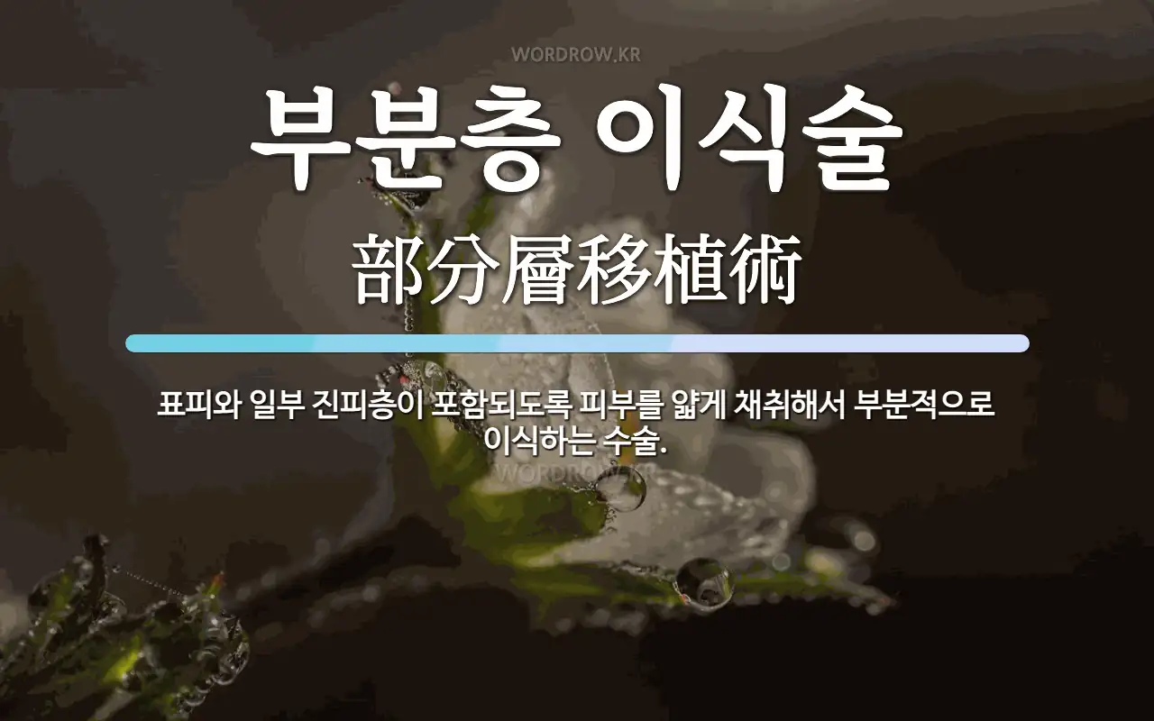부분층 이식술 뜻 표피와 일부 진피층이 포함되도록 피부를 얇게 채취해서 부분적으로 이식하는 수술