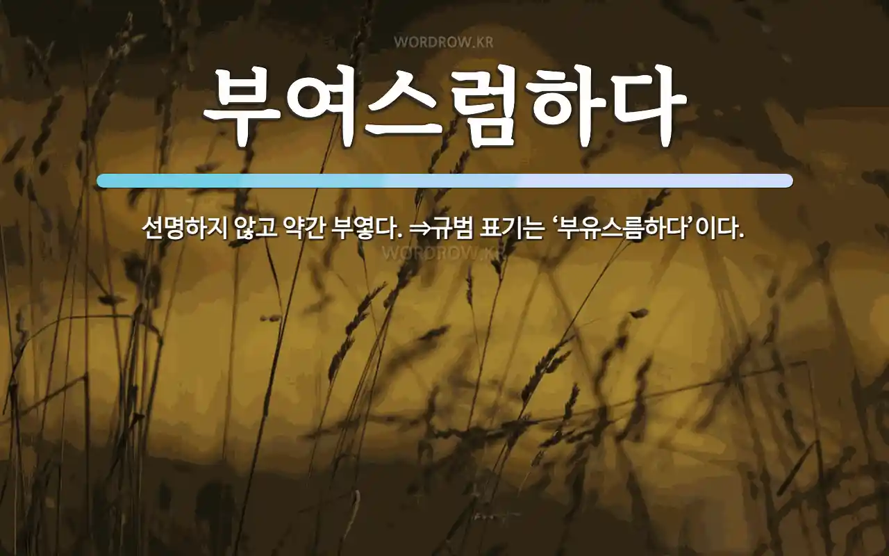 부여스럼하다 뜻 선명하지 않고 약간 부옇다 ⇒규범 표기는 ‘부유스름하다이다