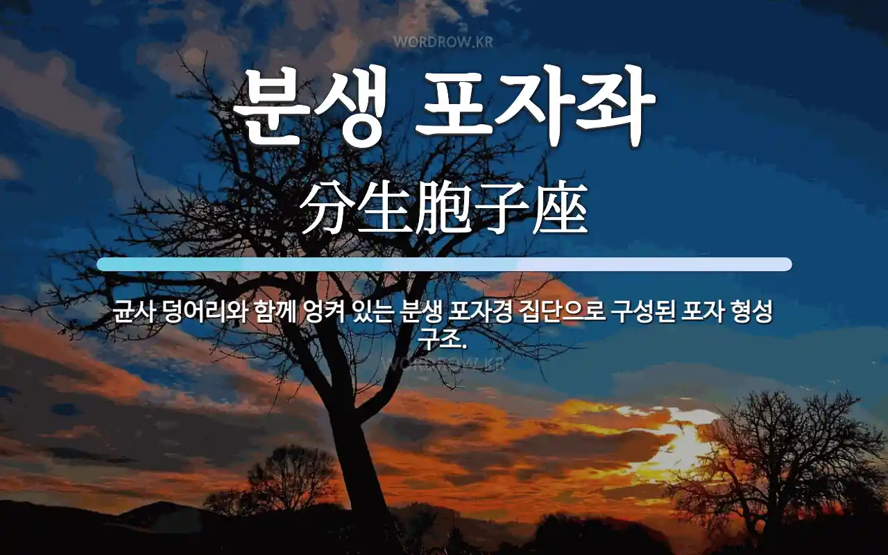 분생 포자좌 뜻 균사 덩어리와 함께 엉켜 있는 분생 포자경 집단으로 구성된 포자 형성 구조