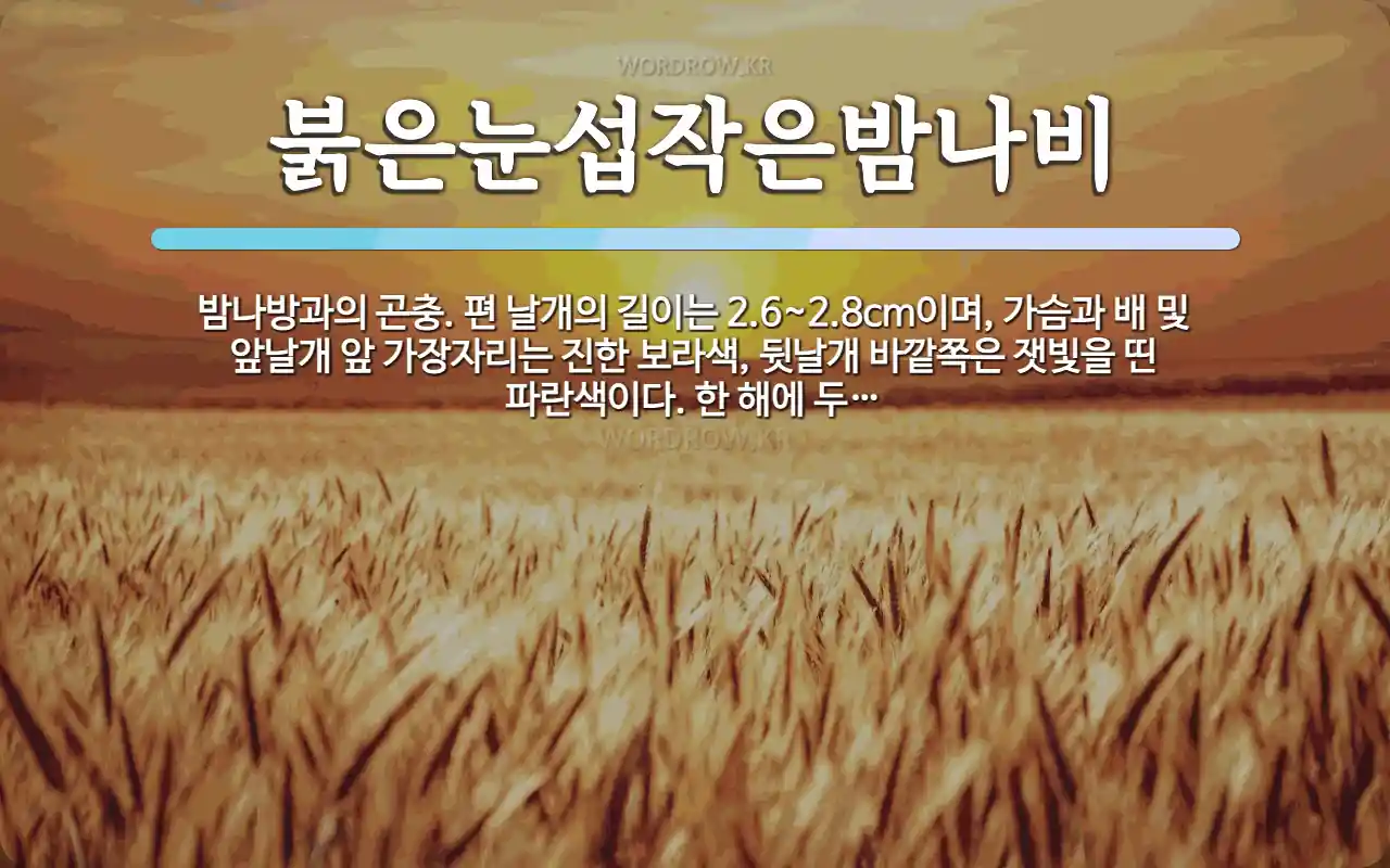 붉은눈섭작은밤나비 뜻 밤나방과의 곤충 편 날개의 길이는 26~28cm이며 가슴과 배 및 앞날개 앞 가장자