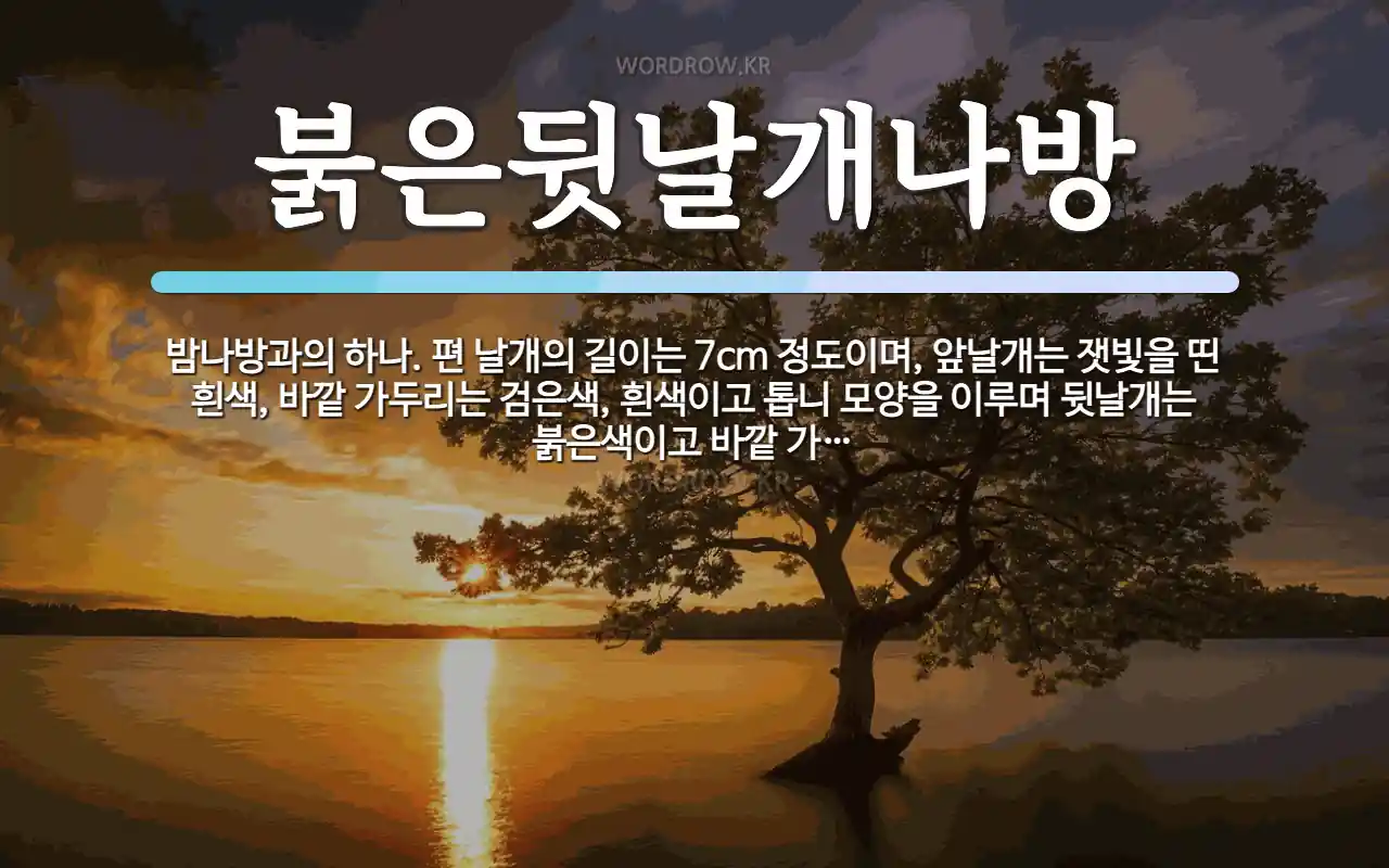 붉은뒷날개나방 뜻 밤나방과의 하나 편 날개의 길이는 7cm 정도이며 앞날개는 잿빛을 띤 흰색 바깥 가두