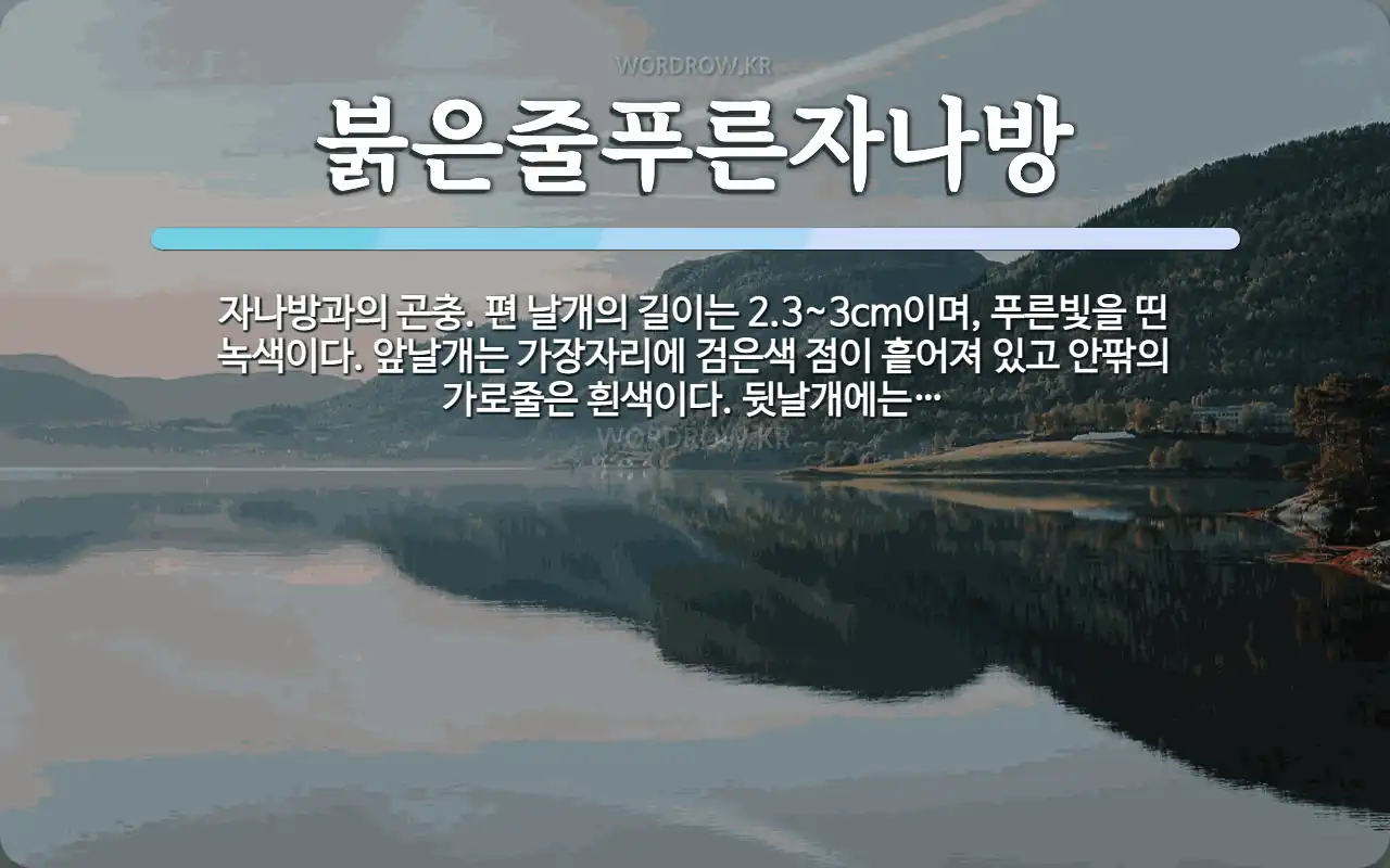 붉은줄푸른자나방 뜻 자나방과의 곤충 편 날개의 길이는 23~3cm이며 푸른빛을 띤 녹색이다 앞날개는 가