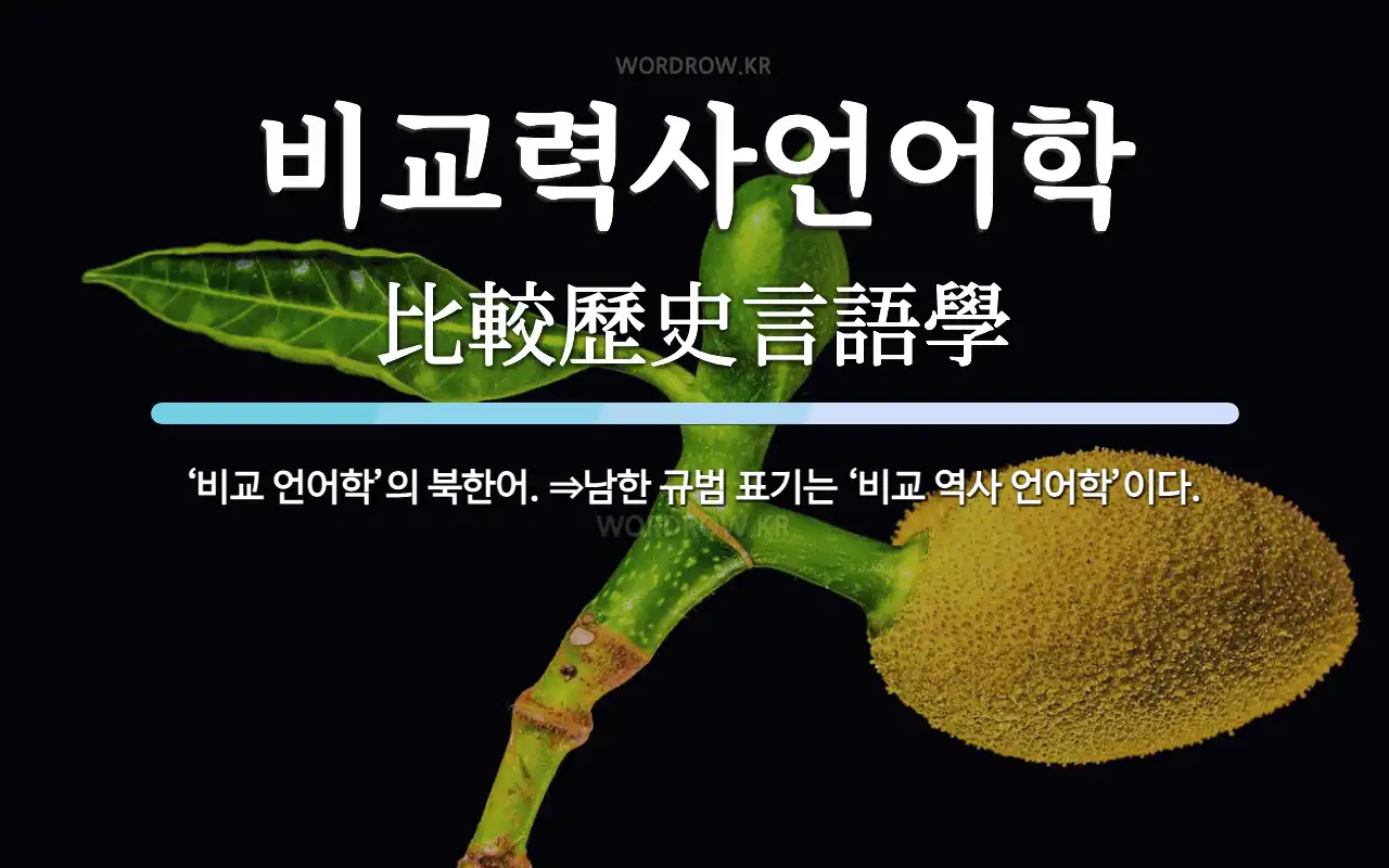 비교력사언어학 뜻 ‘비교 언어학의 북한어 ⇒남한 규범 표기는 ‘비교 역사 언어학이다