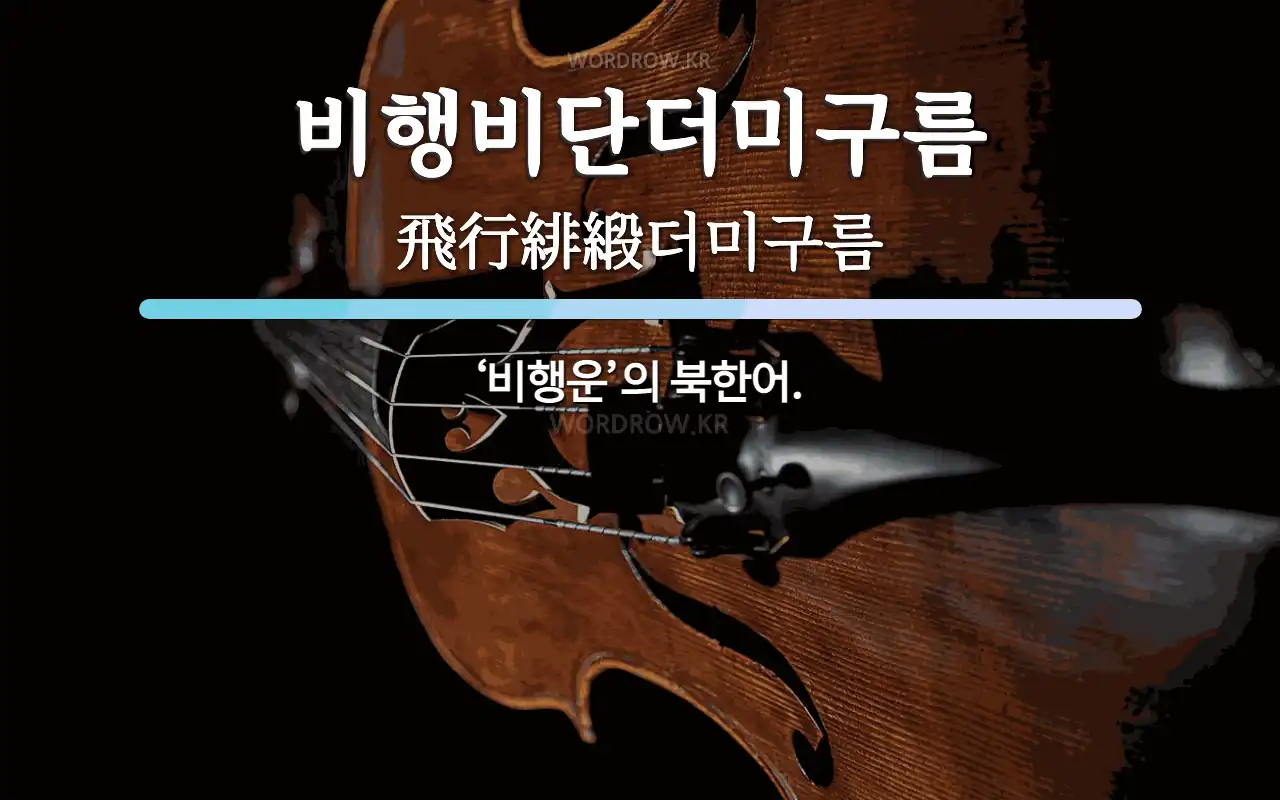 비행비단더미구름 뜻 ‘비행운의 북한어