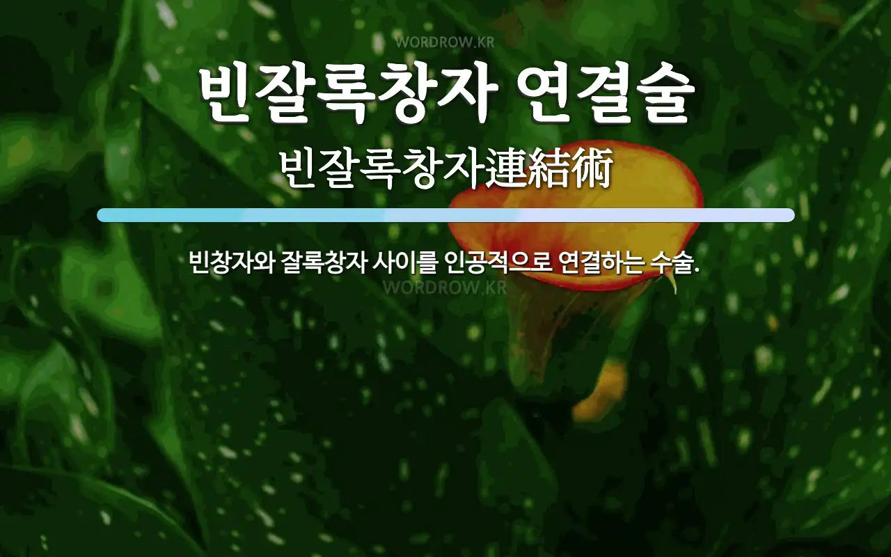 빈잘록창자 연결술 뜻 빈창자와 잘록창자 사이를 인공적으로 연결하는 수술
