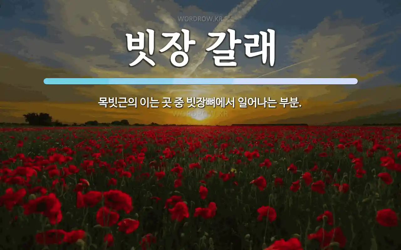 빗장 갈래 뜻 목빗근의 이는 곳 중 빗장뼈에서 일어나는 부분