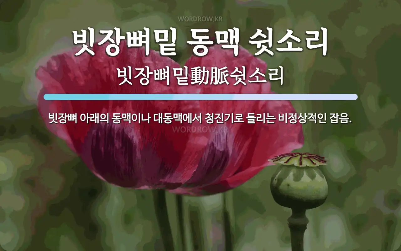빗장뼈밑 동맥 쉿소리 뜻 빗장뼈 아래의 동맥이나 대동맥에서 청진기로 들리는 비정상적인 잡음