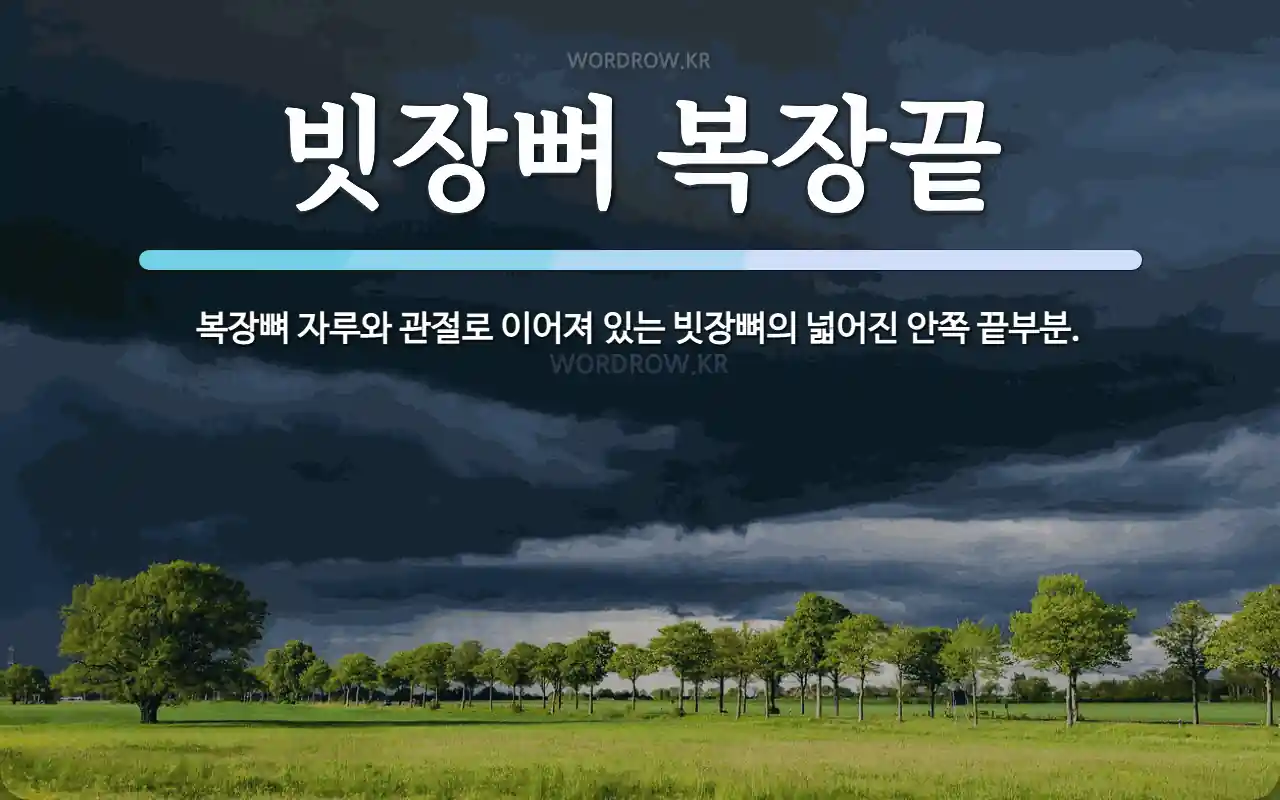 빗장뼈 복장끝 뜻 복장뼈 자루와 관절로 이어져 있는 빗장뼈의 넓어진 안쪽 끝부분