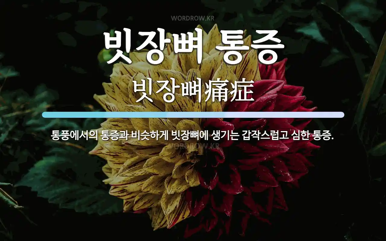 빗장뼈 통증 뜻 통풍에서의 통증과 비슷하게 빗장뼈에 생기는 갑작스럽고 심한 통증