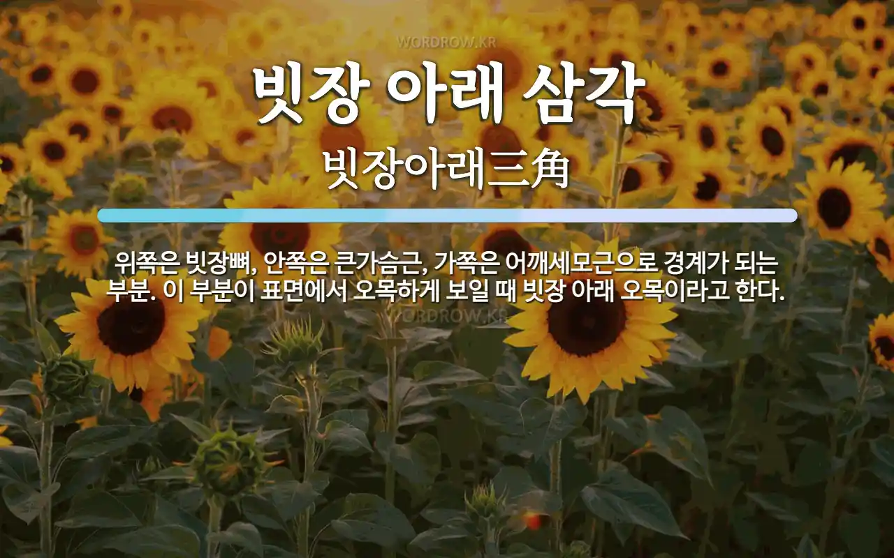 빗장 아래 삼각 뜻 위쪽은 빗장뼈 안쪽은 큰가슴근 가쪽은 어깨세모근으로 경계가 되는 부분 이 부분이 표면