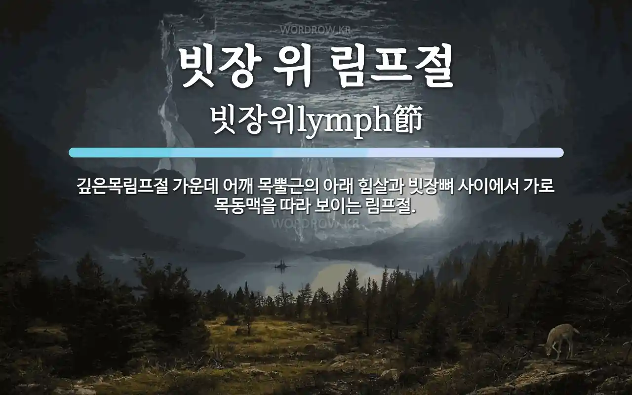 빗장 위 림프절 뜻 깊은목림프절 가운데 어깨 목뿔근의 아래 힘살과 빗장뼈 사이에서 가로 목동맥을 따라 보이는