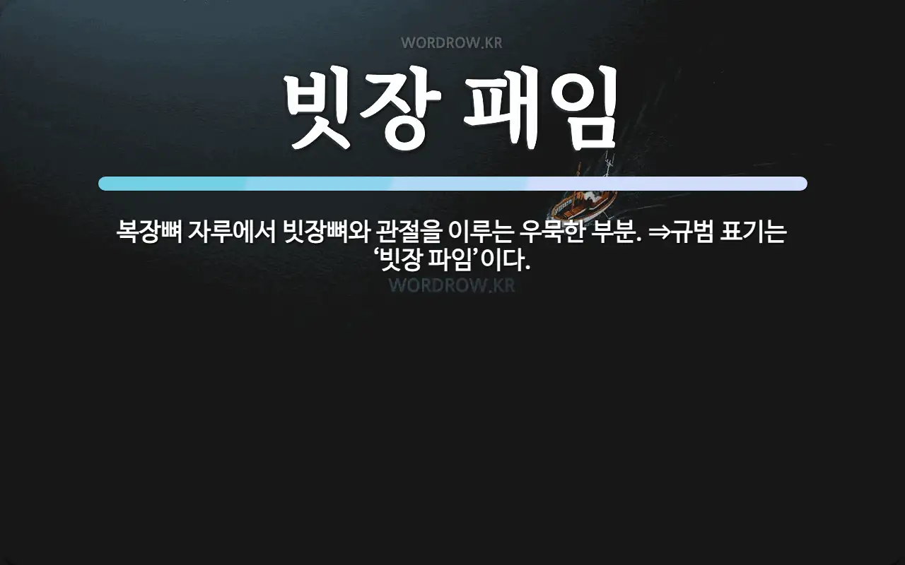 빗장 패임 뜻 복장뼈 자루에서 빗장뼈와 관절을 이루는 우묵한 부분 ⇒규범 표기는 ‘빗장 파임이다