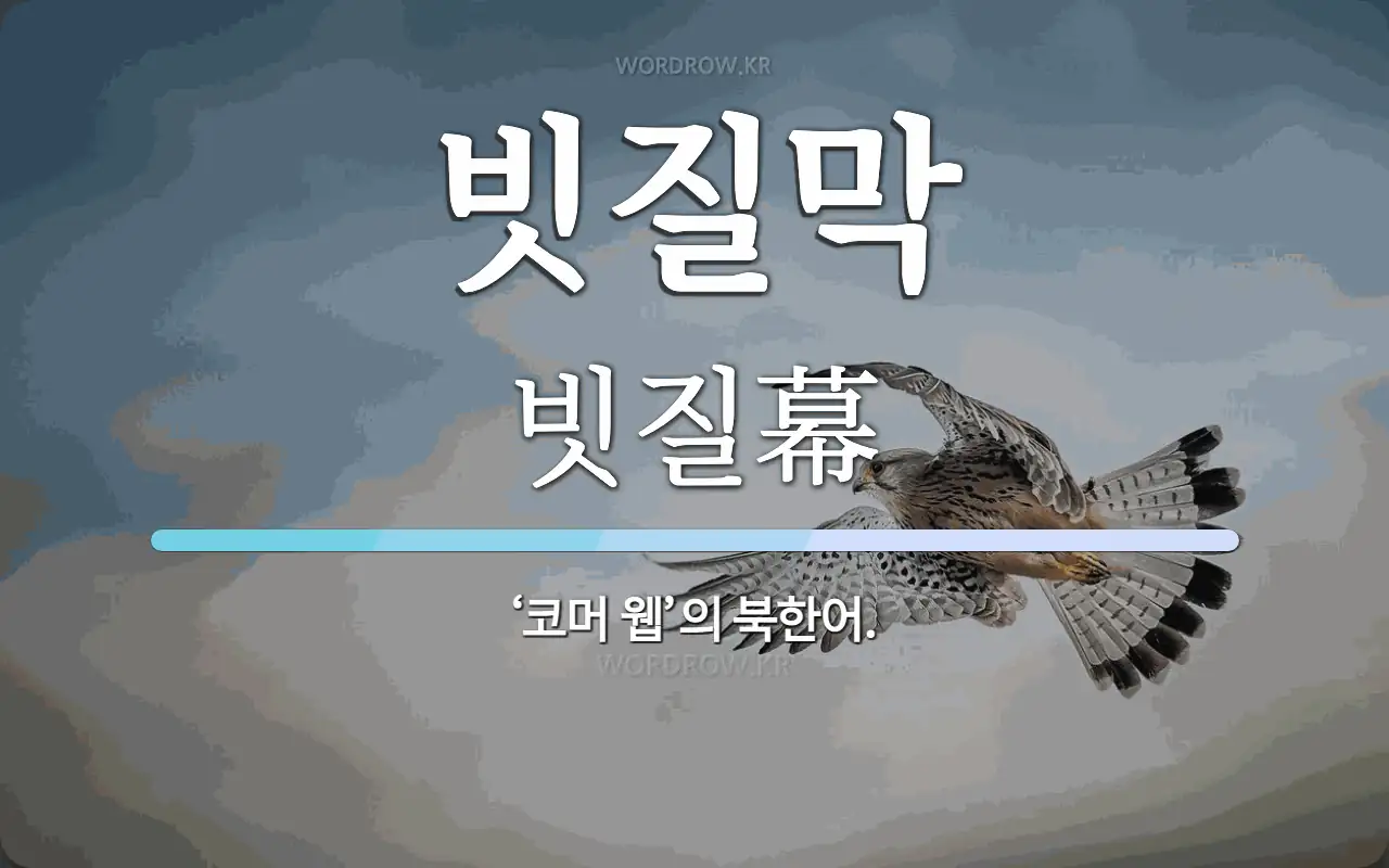 빗질막 뜻 ‘코머 웹의 북한어