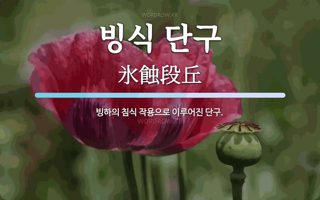 빙식 단구 뜻 빙하의 침식 작용으로 이루어진 단구
