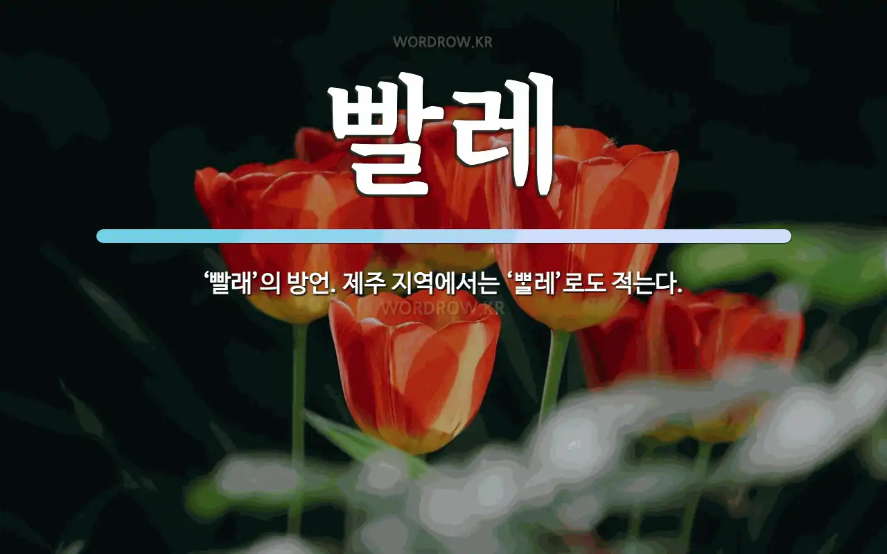 빨레 뜻 ‘빨래의 방언 제주 지역에서는 ‘ue71e레로도 적는다