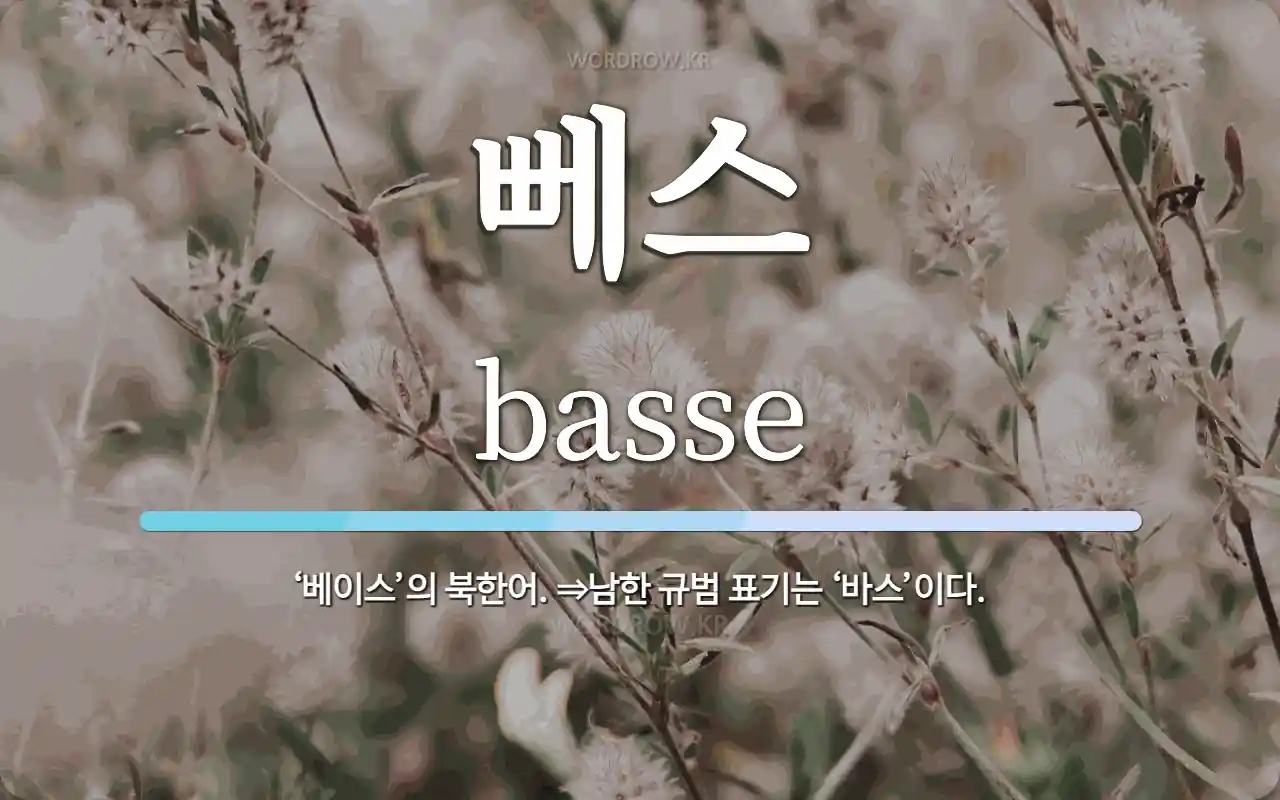 뻬스 뜻 ‘베이스의 북한어 ⇒남한 규범 표기는 ‘바스이다