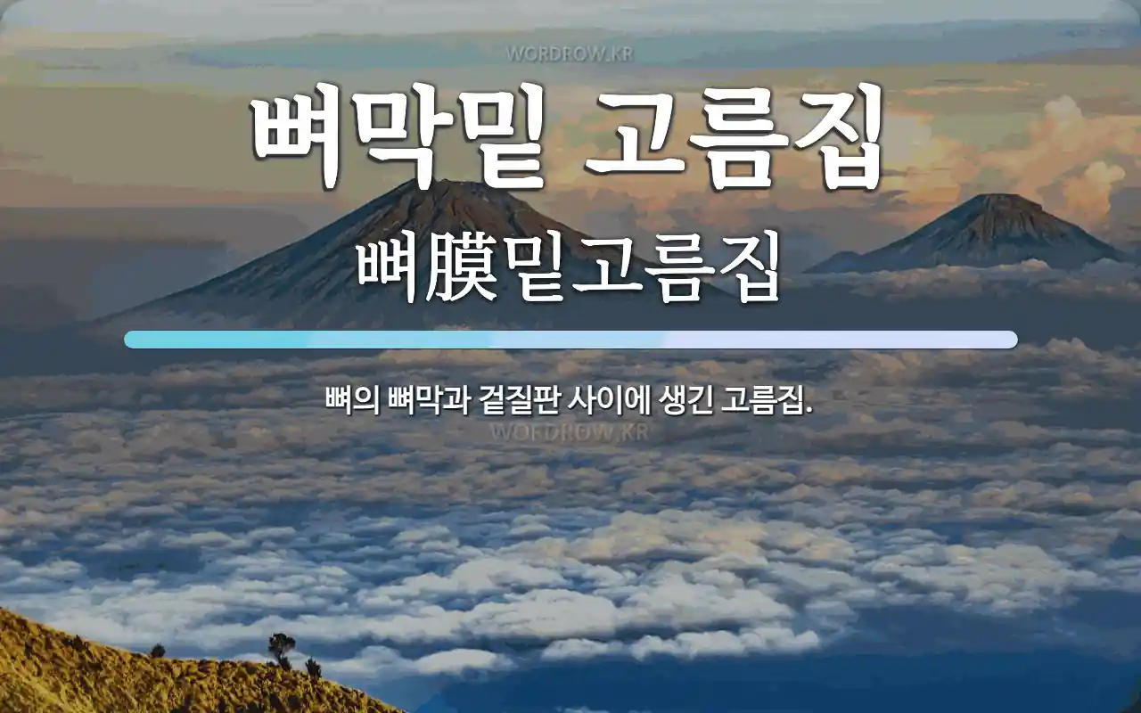 뼈막밑 고름집 뜻 뼈의 뼈막과 겉질판 사이에 생긴 고름집