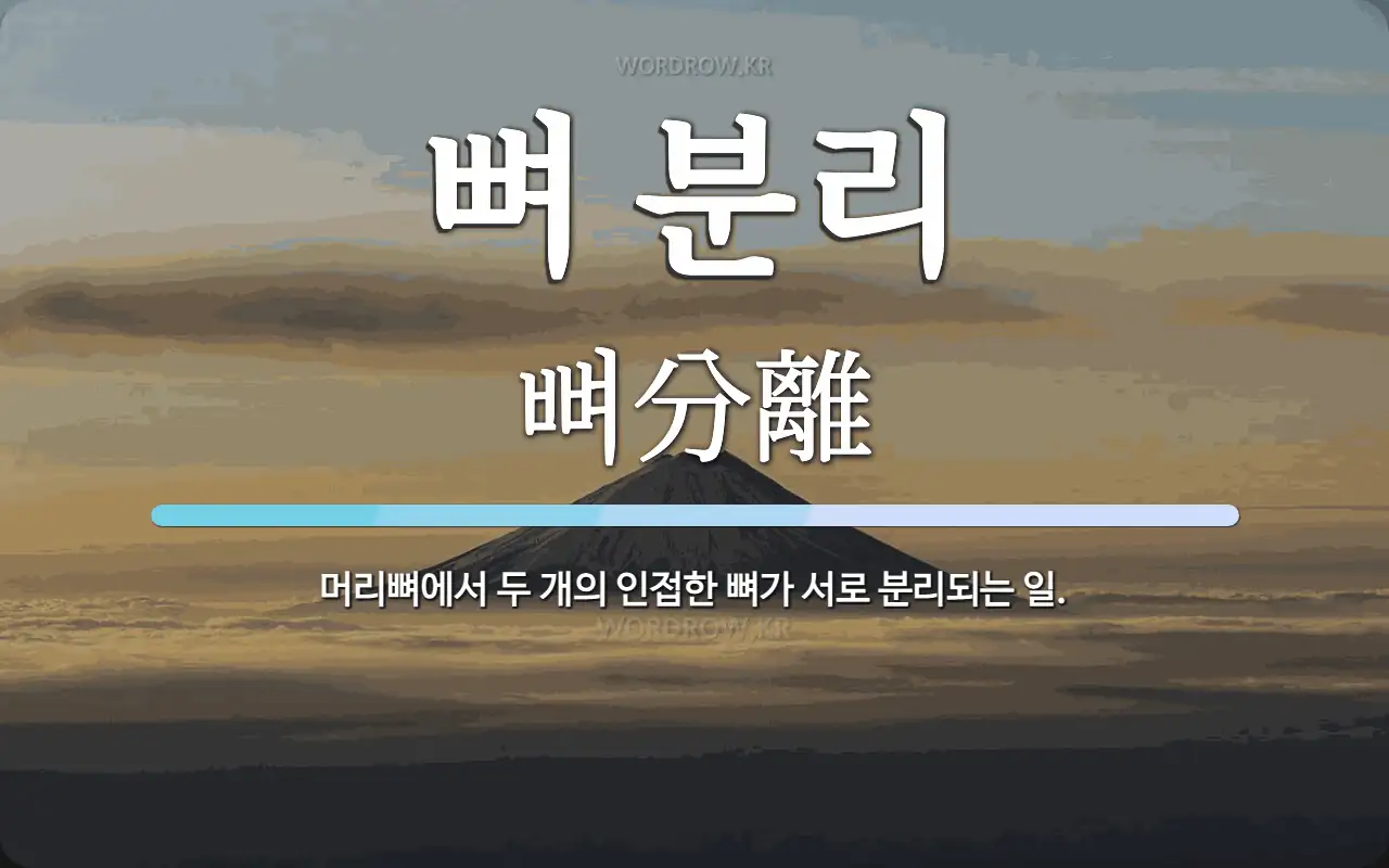 뼈 분리 뜻 머리뼈에서 두 개의 인접한 뼈가 서로 분리되는 일