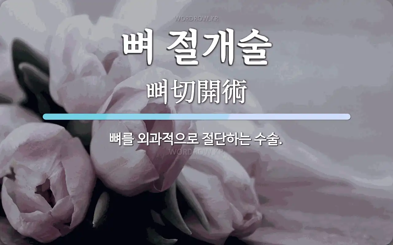뼈 절개술 뜻 뼈를 외과적으로 절단하는 수술