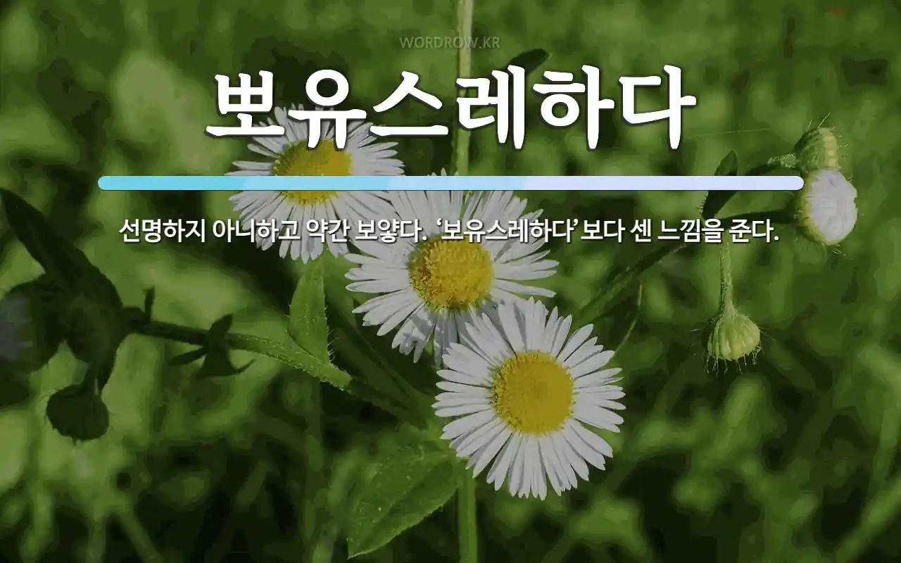 뽀유스레하다 뜻 선명하지 아니하고 약간 보얗다 ‘보유스레하다보다 센 느낌을 준다