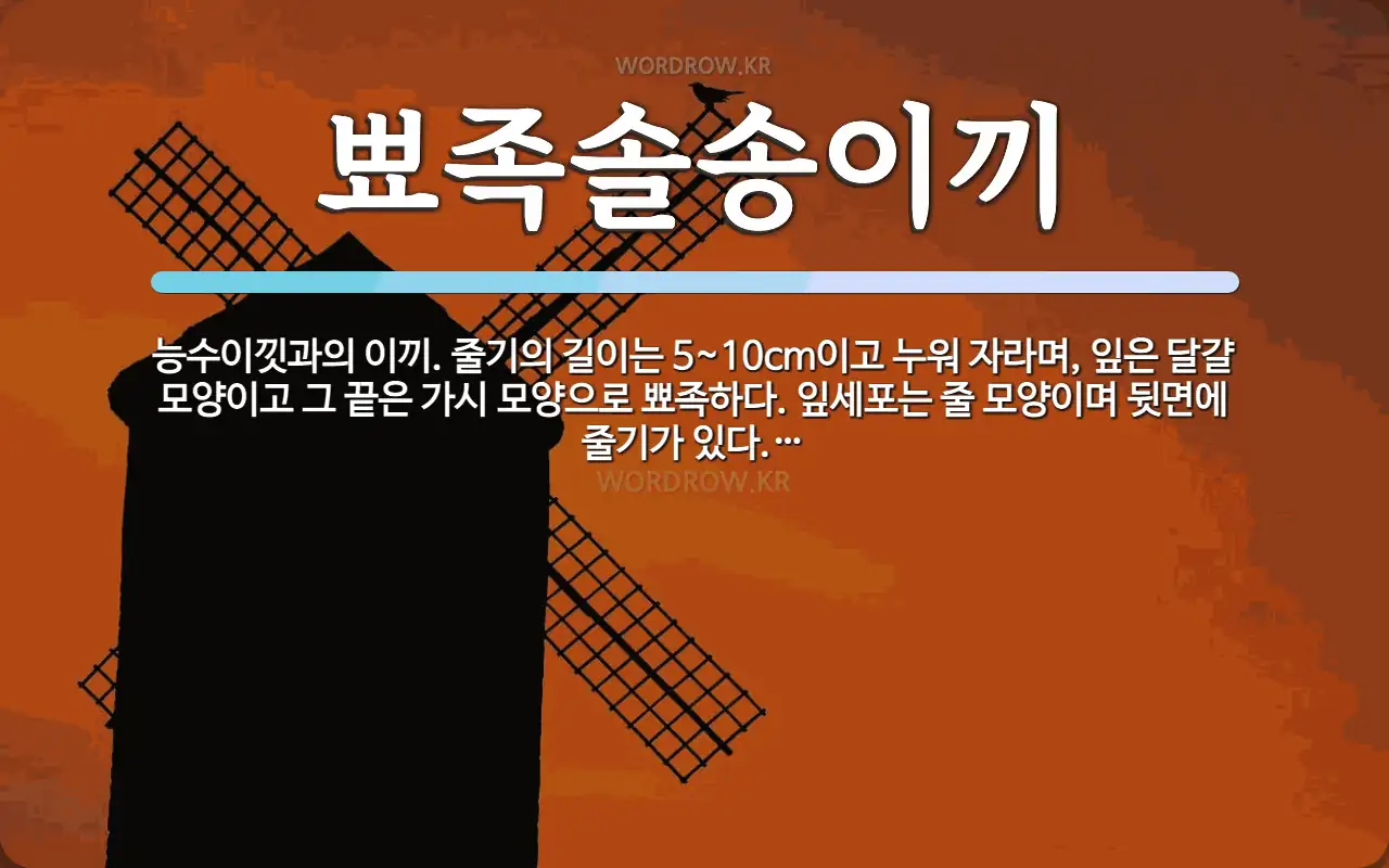 뾰족솔송이끼 뜻 능수이낏과의 이끼 줄기의 길이는 5~10cm이고 누워 자라며 잎은 달걀 모양이고 그 끝