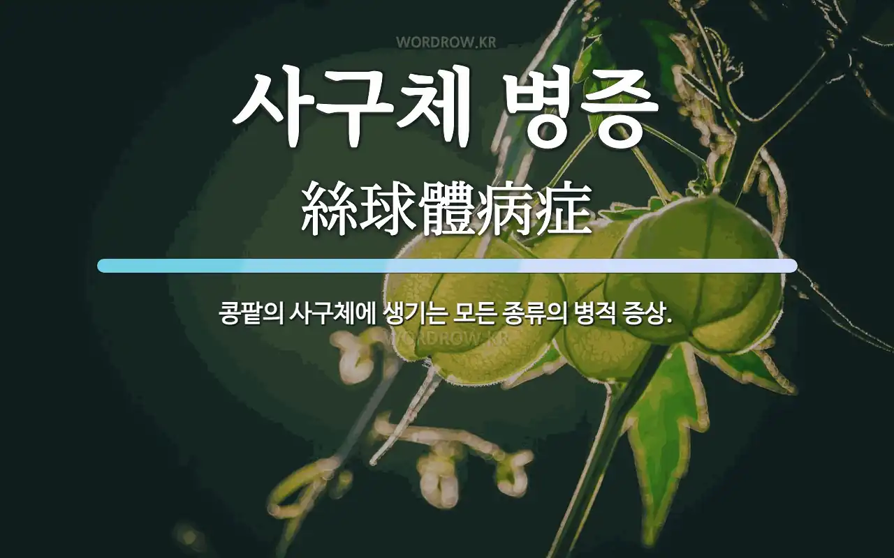 사구체 병증 뜻 콩팥의 사구체에 생기는 모든 종류의 병적 증상