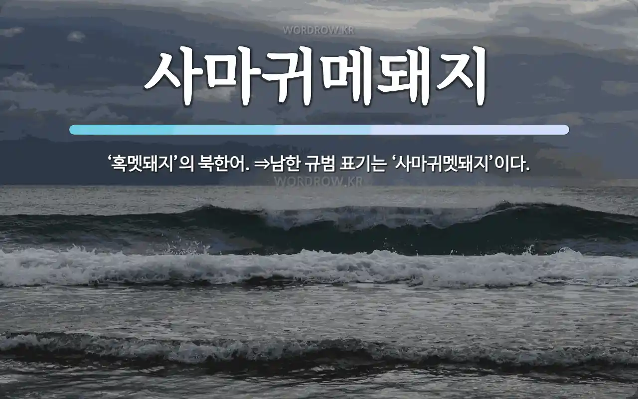 사마귀메돼지 뜻 ‘혹멧돼지의 북한어 ⇒남한 규범 표기는 ‘사마귀멧돼지이다