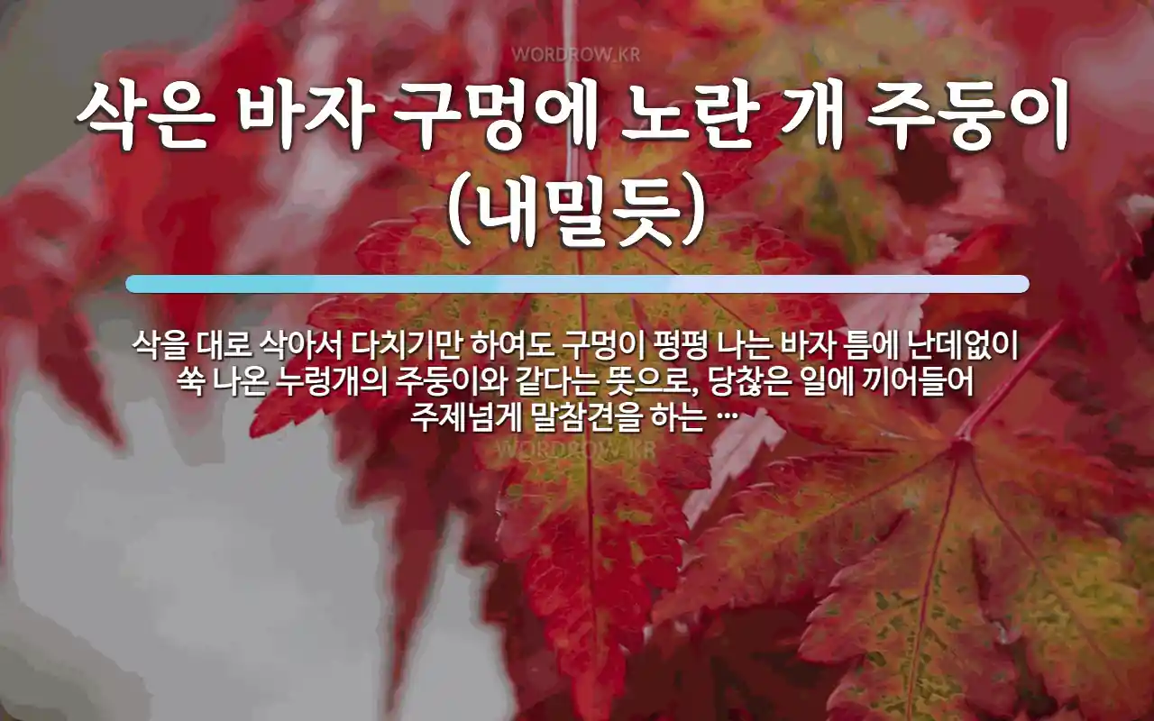 삭은 바자 구멍에 노란 개 주둥이 내밀듯 뜻 삭을 대로 삭아서 다치기만 하여도 구멍이 펑펑 나는 바자 틈에 난데없이 쑥 나온 누렁개의