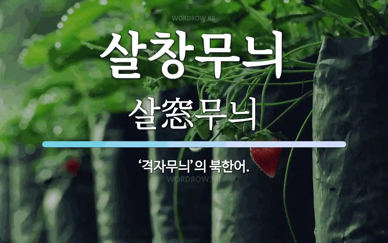살창무늬 뜻 ‘격자무늬의 북한어