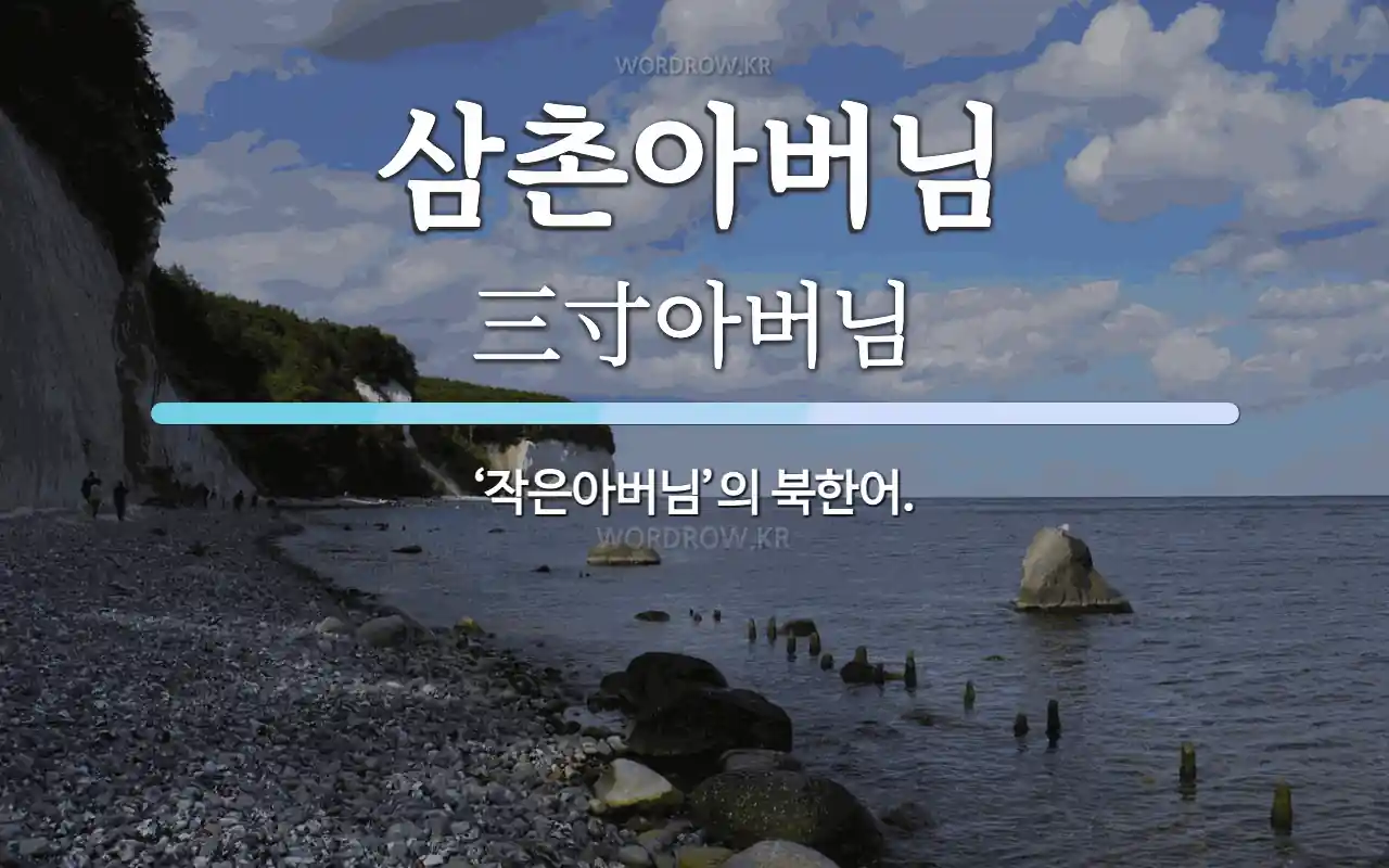 삼촌아버님 뜻 ‘작은아버님의 북한어