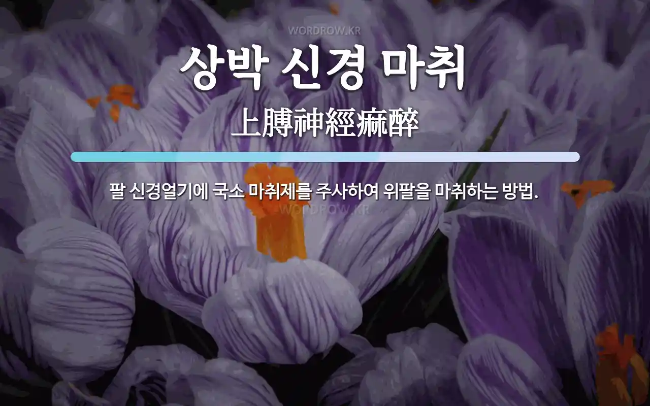 상박 신경 마취 뜻 팔 신경얼기에 국소 마취제를 주사하여 위팔을 마취하는 방법
