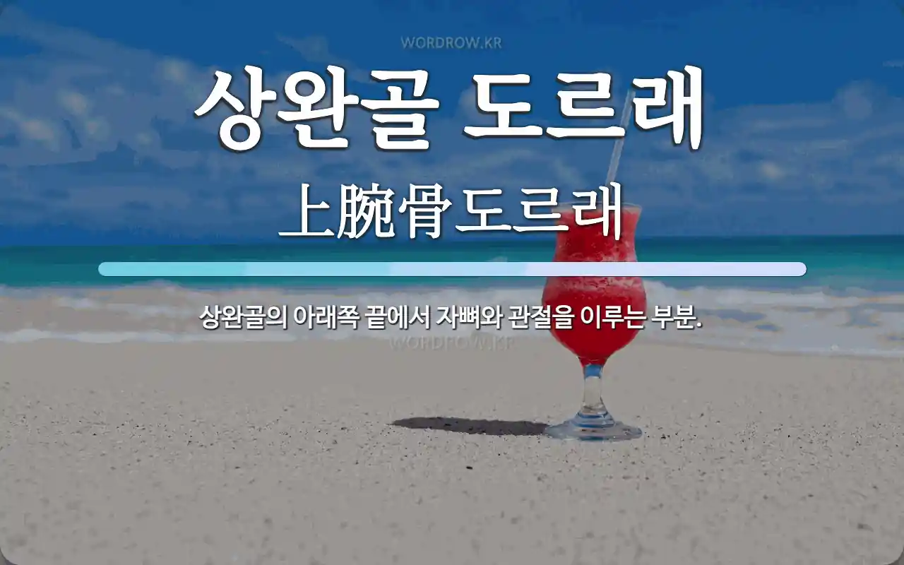 상완골 도르래 뜻 상완골의 아래쪽 끝에서 자뼈와 관절을 이루는 부분