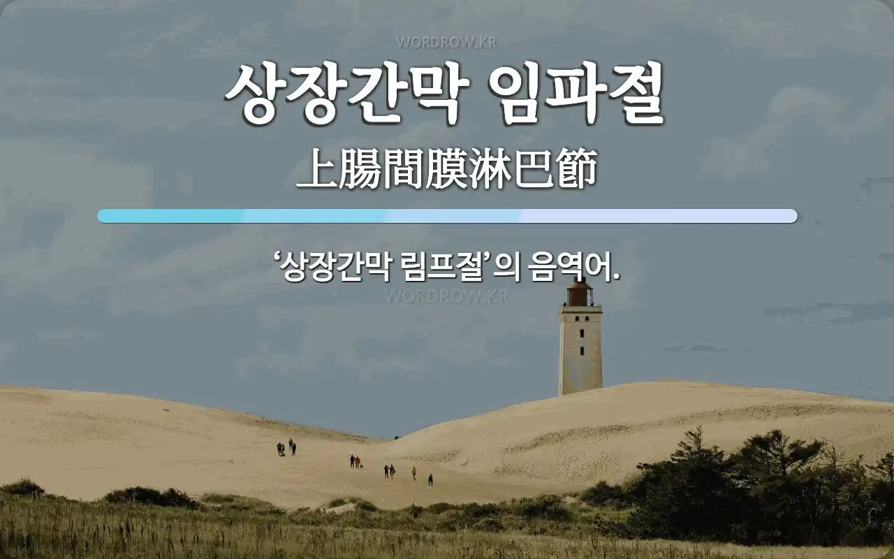 상장간막 임파절 뜻 ‘상장간막 림프절의 음역어