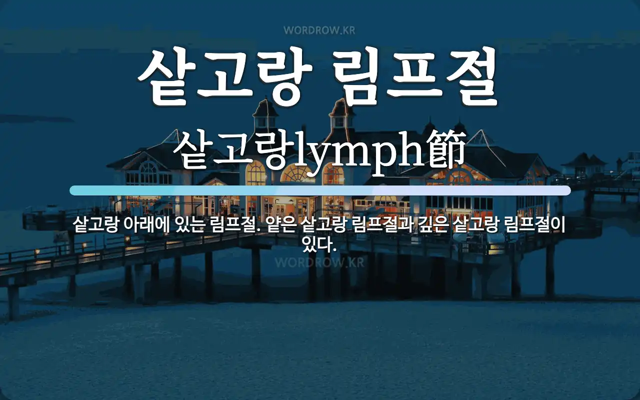 샅고랑 림프절 뜻 샅고랑 아래에 있는 림프절 얕은 샅고랑 림프절과 깊은 샅고랑 림프절이 있다