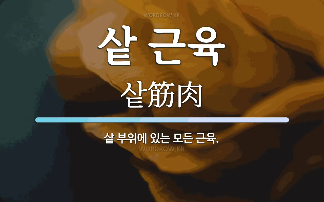 샅 근육 뜻 샅 부위에 있는 모든 근육