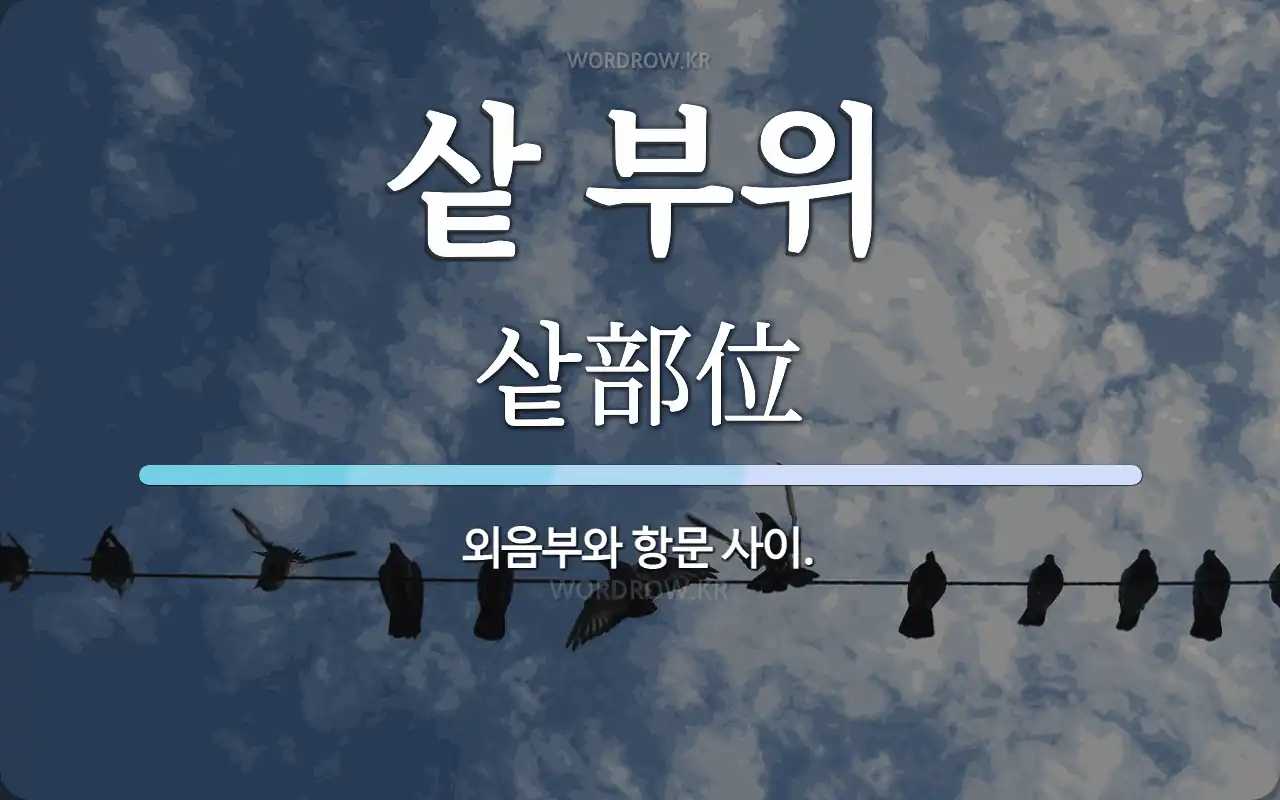 샅 부위 뜻 외음부와 항문 사이